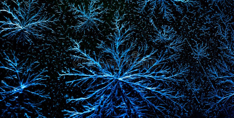 Chemical Flowers from Crystals, Nature Patterns Stock Image - Image of ...