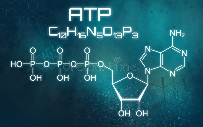Adenosine Triphosphate (ATP) Structural Formula Stock Illustration ...