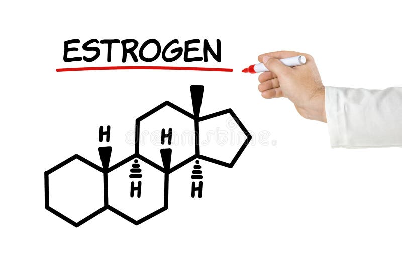 Chemical Formula of Estrogen Stock Photo - Image of biology, estrogen ...