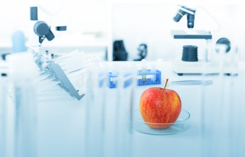 Chemical Laboratory of the Food Supply Stock Photo - Image of discovery ...