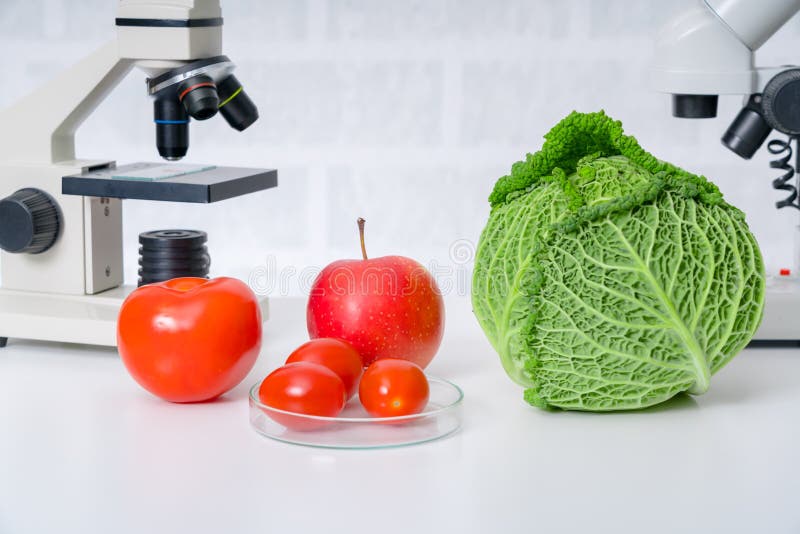 Chemical Laboratory of the Food Supply . Food in Laboratory, Dna Modify ...