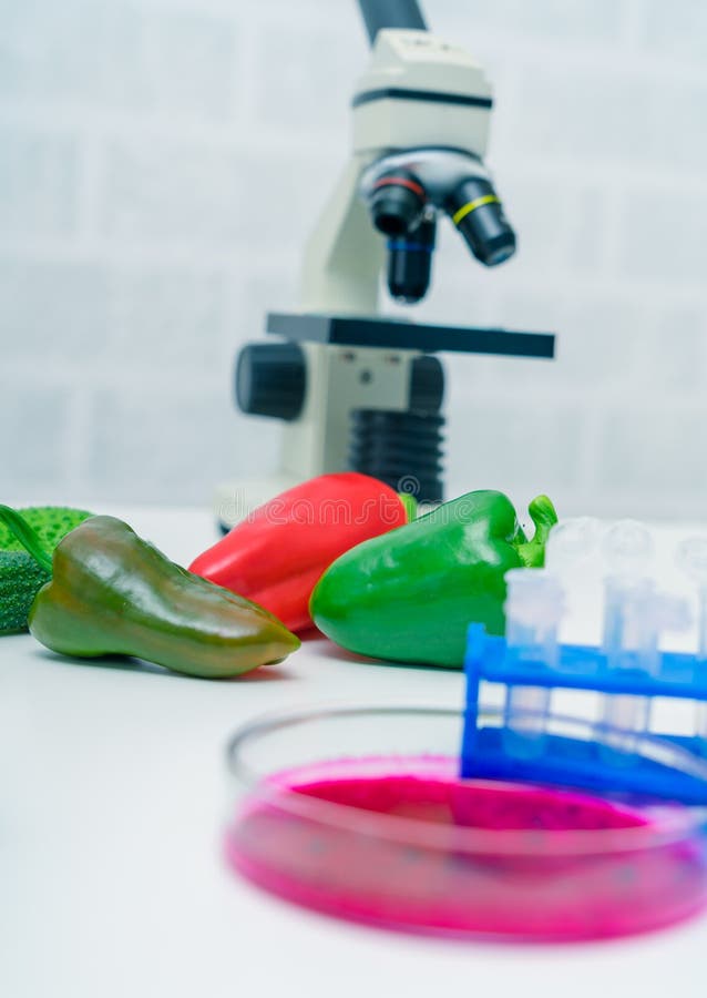 Chemical Laboratory of the Food Supply . Food in Laboratory, Dna Modify ...