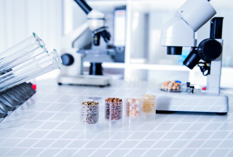 Chemical Laboratory of the Food Supply . Food in Laboratory, Dna Modify ...