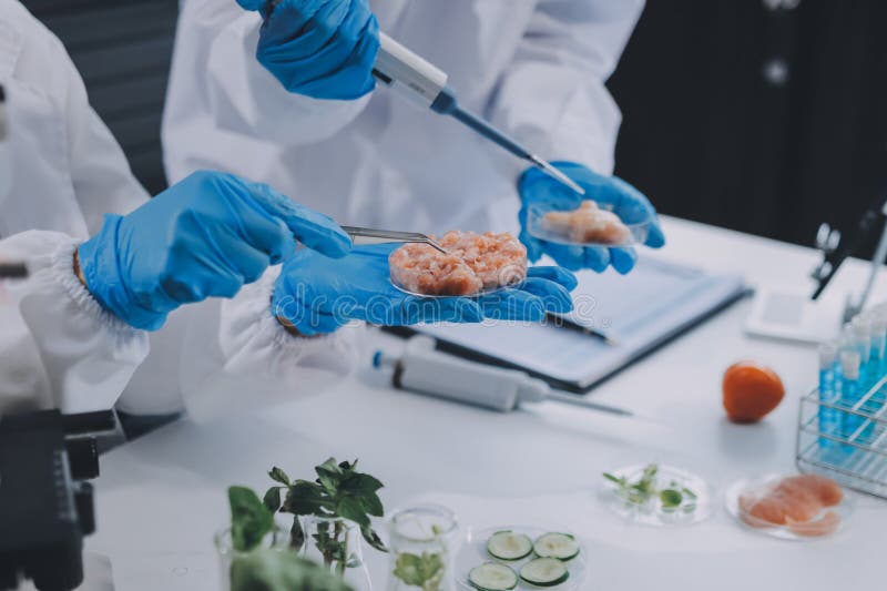 Chemical Laboratory of the Food Supply . Food in Laboratory, Dna Modify ...