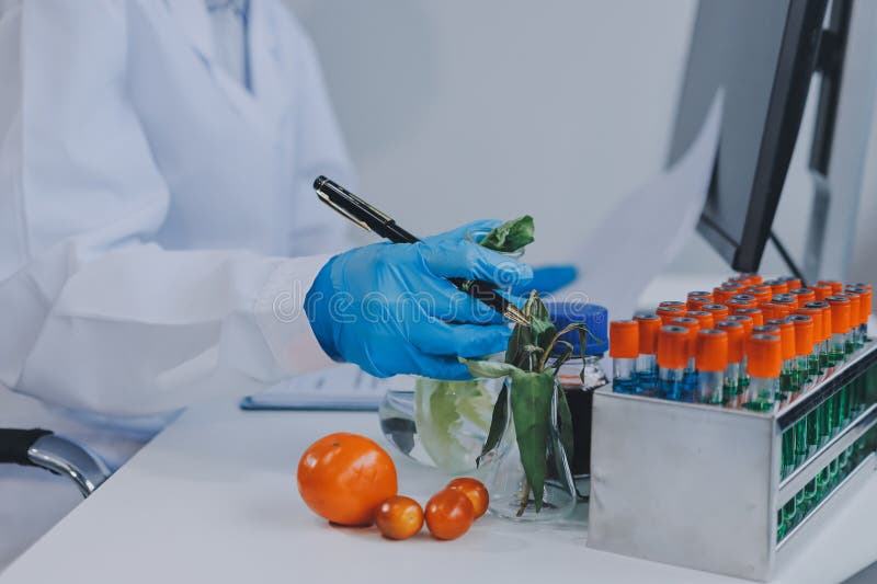 Chemical Laboratory of the Food Supply . Food in Laboratory, Dna Modify ...