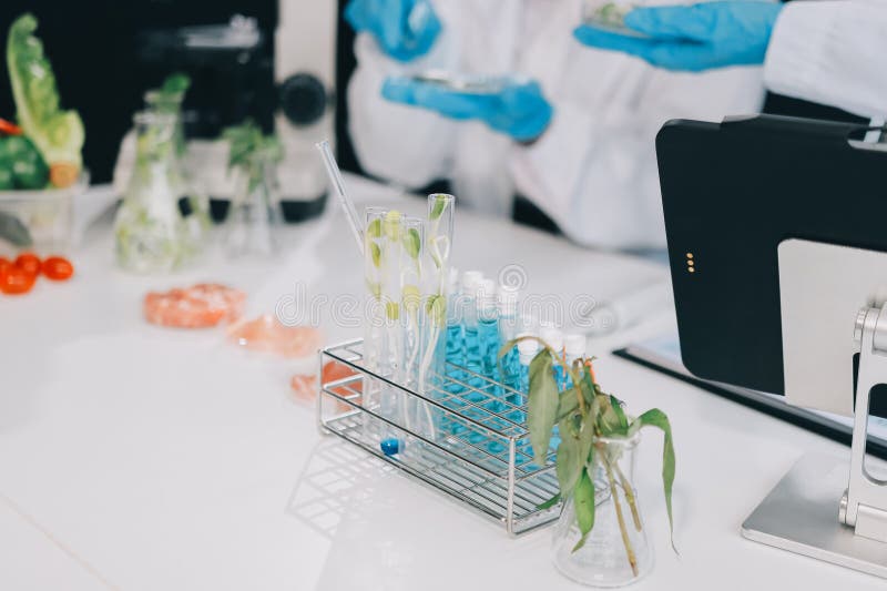 Chemical Laboratory of the Food Supply . Food in Laboratory, Dna Modify ...