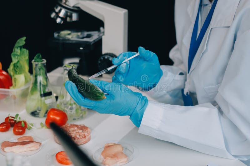 Chemical Laboratory of the Food Supply . Food in Laboratory, Dna Modify ...