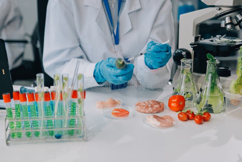 Chemical Laboratory of the Food Supply . Food in Laboratory, Dna Modify ...