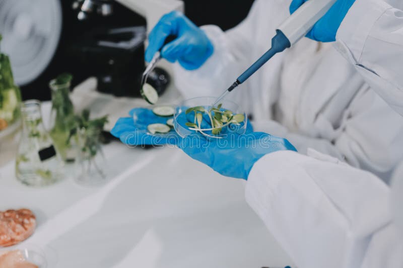 Chemical Laboratory of the Food Supply . Food in Laboratory, Dna Modify ...