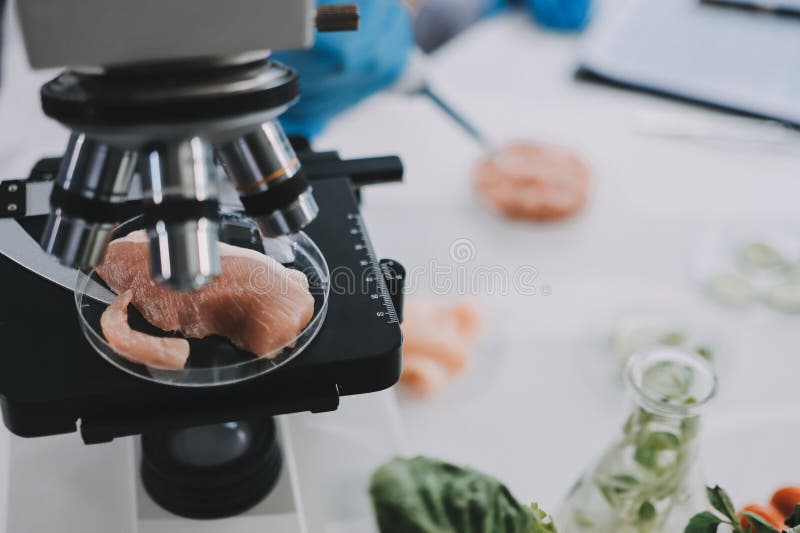 Chemical Laboratory of the Food Supply . Food in Laboratory, Dna Modify ...