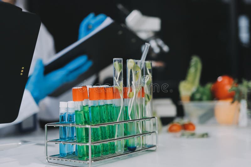 Chemical Laboratory of the Food Supply . Food in Laboratory, Dna Modify ...