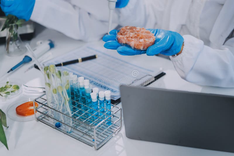 Chemical Laboratory of the Food Supply . Food in Laboratory, Dna Modify ...