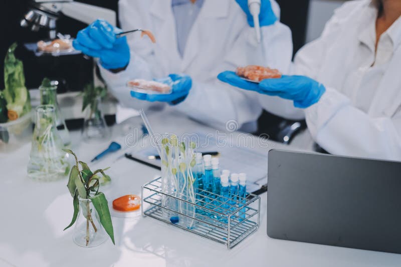 Chemical Laboratory of the Food Supply . Food in Laboratory, Dna Modify ...