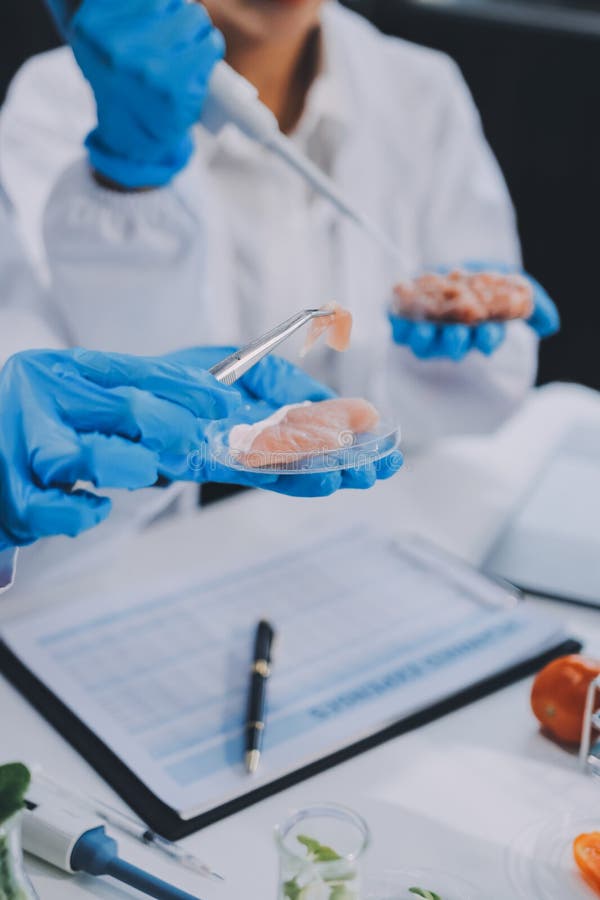 Chemical Laboratory of the Food Supply . Food in Laboratory, Dna Modify ...