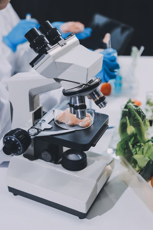 Chemical Laboratory of the Food Supply . Food in Laboratory, Dna Modify ...