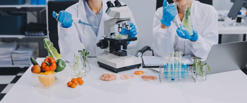 Chemical Laboratory of the Food Supply . Food in Laboratory, Dna Modify ...