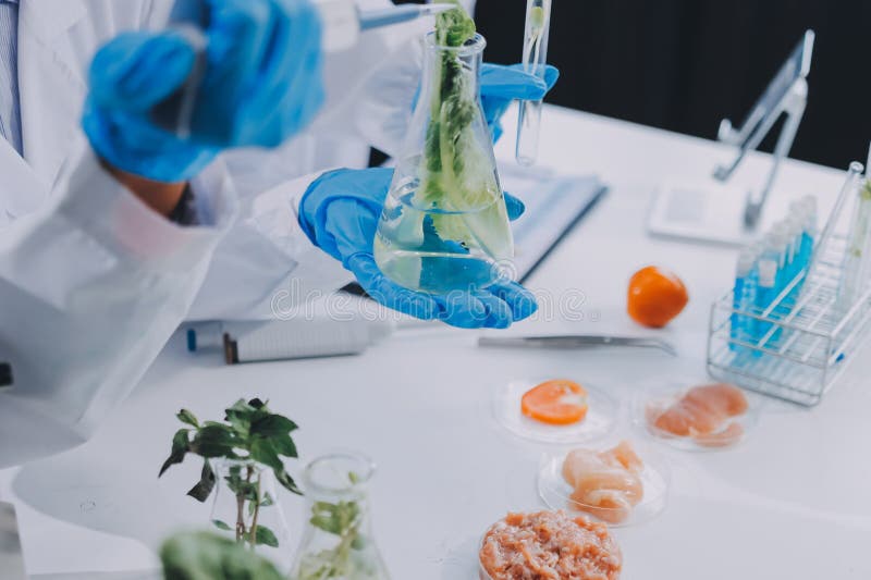 Chemical Laboratory of the Food Supply . Food in Laboratory, Dna Modify ...