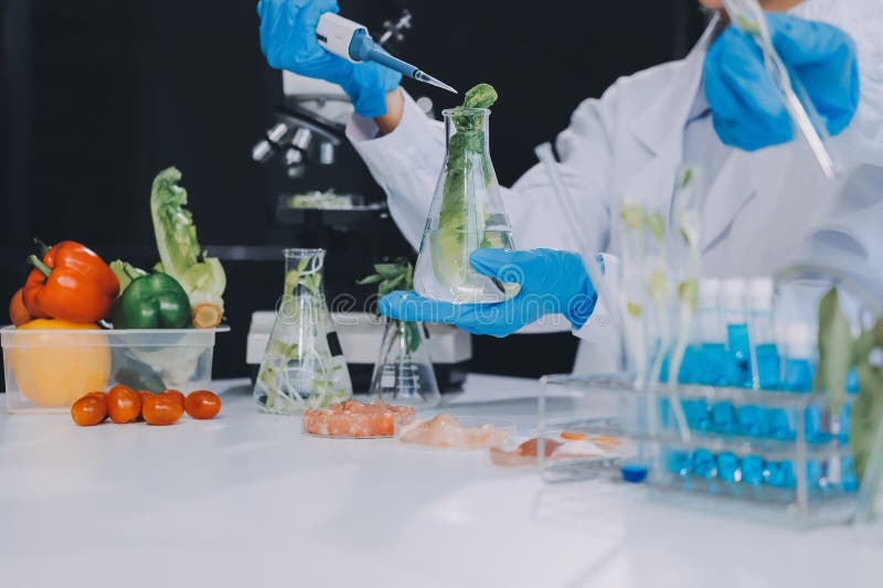 Chemical Laboratory of the Food Supply . Food in Laboratory, Dna Modify ...