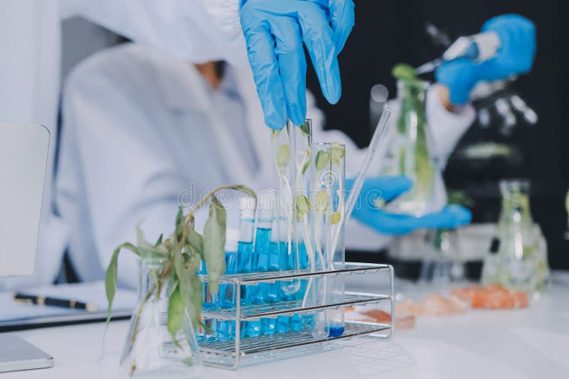 Chemical Laboratory of the Food Supply . Food in Laboratory, Dna Modify ...