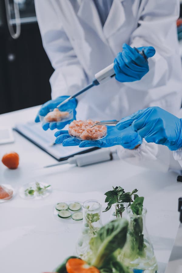 Chemical Laboratory of the Food Supply . Food in Laboratory, Dna Modify Stock Photo - Image of ...