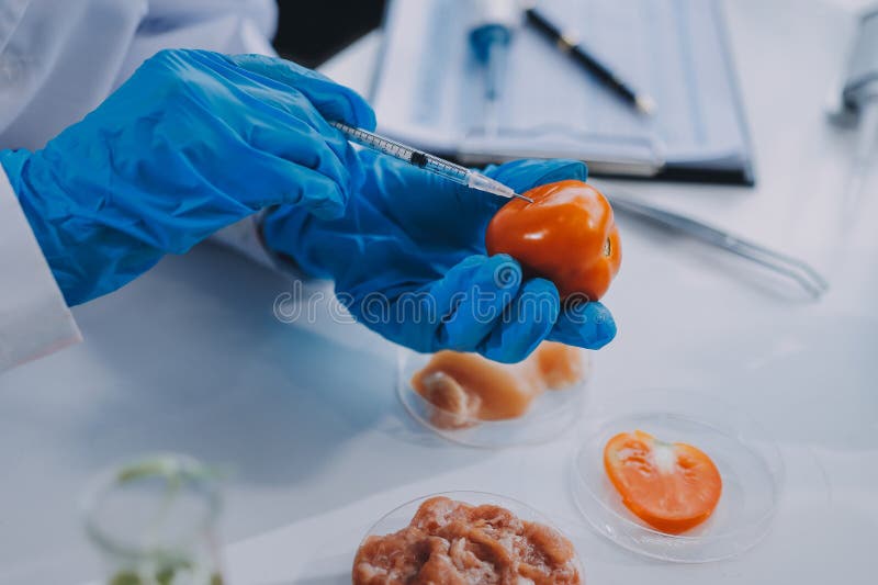 Chemical Laboratory of the Food Supply . Food in Laboratory, Dna Modify ...