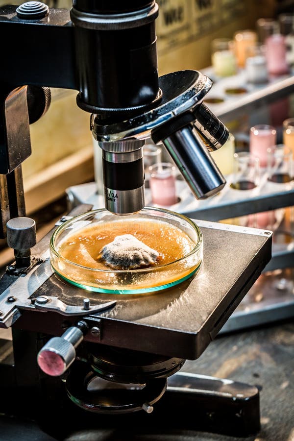 Chemical Laboratory during the Mold Test Stock Photo - Image of ...