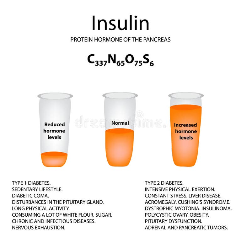 Pancreas Insulin Stock Illustrations – 2,168 Pancreas Insulin Stock ...