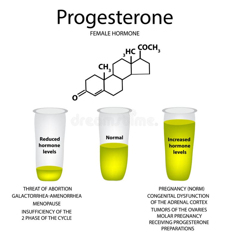 Progesterone Luteinizing Stock Illustrations – 46 Progesterone ...