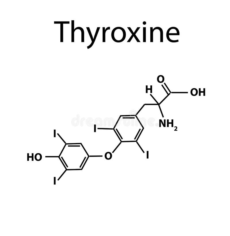 Thyroxine Molecule Chemical Structure Thyroid Gland Hormone Th Stock