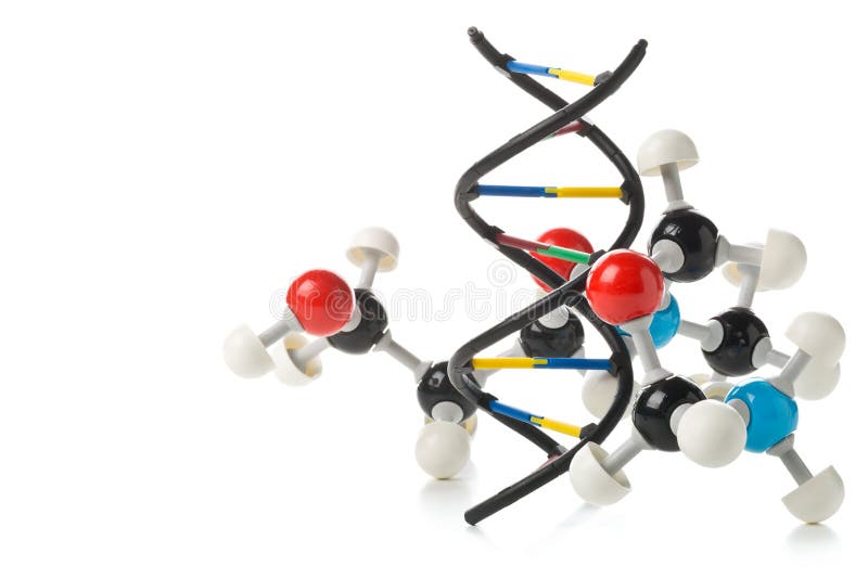 Chemical Molecule Model and DNA Structure Model Over White Background ...