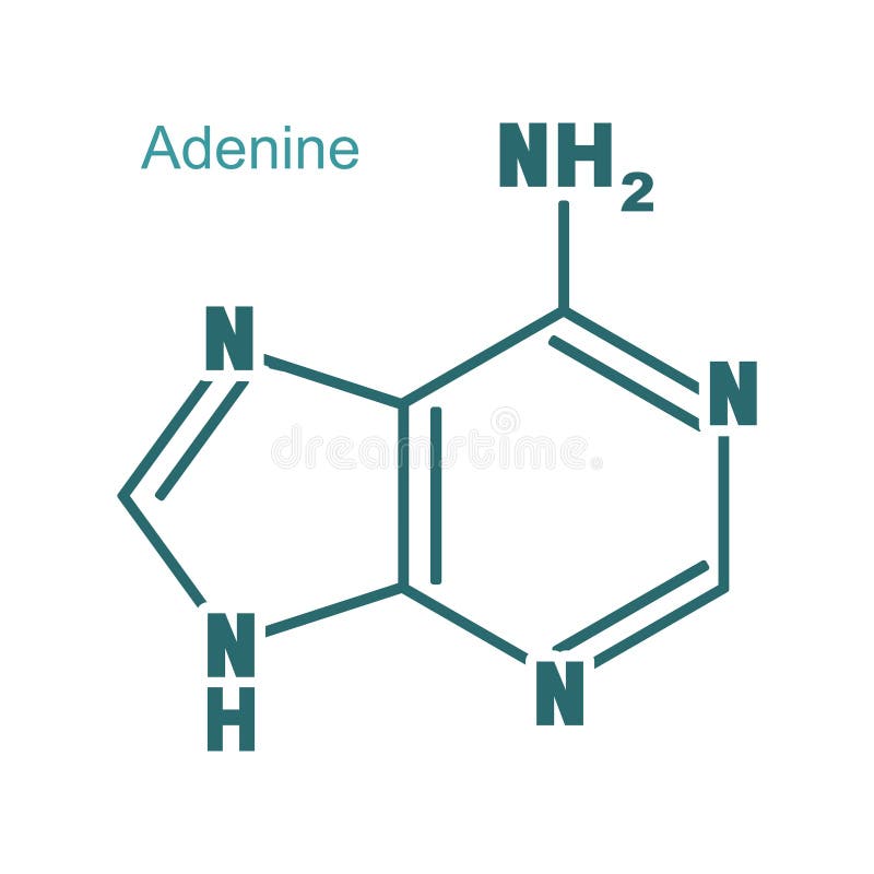 Adenine Molecule with Chemical Formula Stock Illustration ...