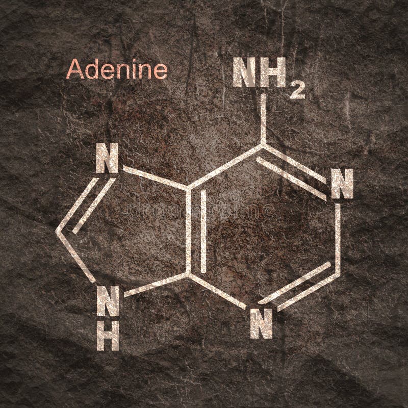 Adenine molecule stock vector. Illustration of nucleobase - 65613546