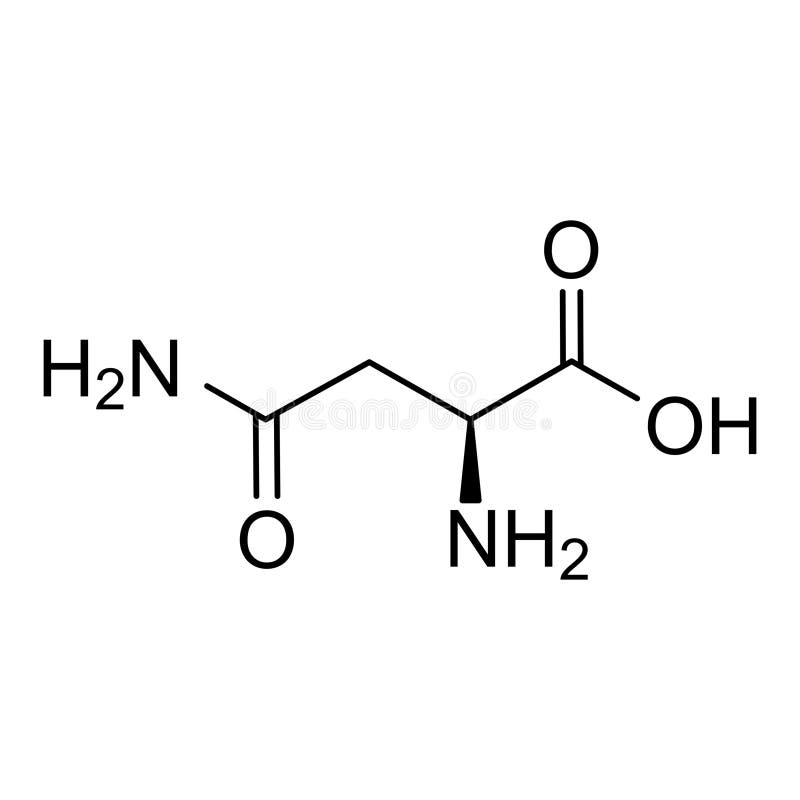 Chemical Structural Formula of Amino Acid, Asparagine Stock ...