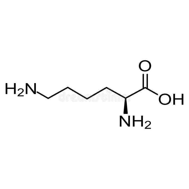 Chemical Structural Formula of Amino Acid, Lysine Stock Illustration ...