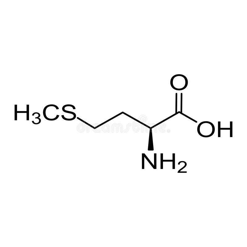 Chemical Structural Formula of Amino Acid, Isoleucine Stock ...