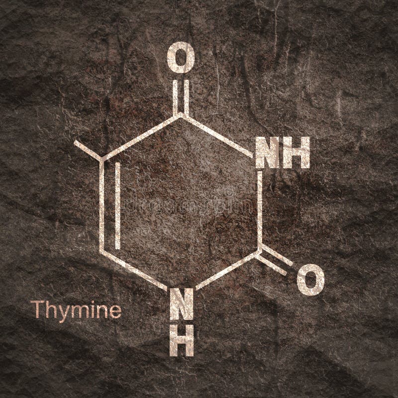 Thymine Molecule with Chemical Formula Stock Illustration ...