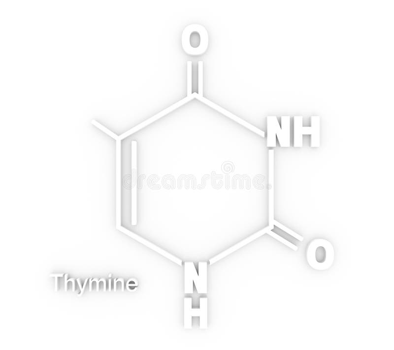 Chemical Structural Formula of Thymine - DNA and RNA Nitrogen Base ...
