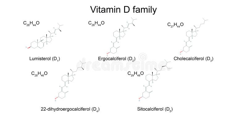 Chemical and Structural Formulas of Vitamin D Vitamers Stock ...