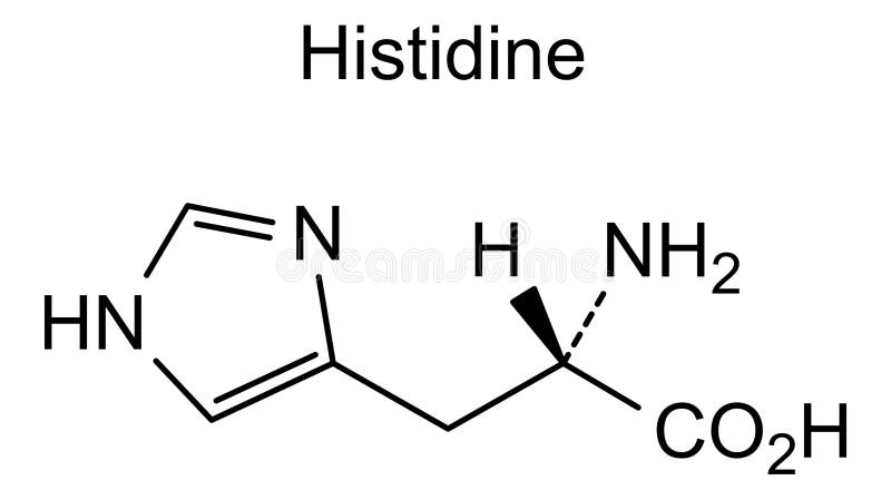 Chemical Structure of Histidine, Drug Substance Stock Illustration ...