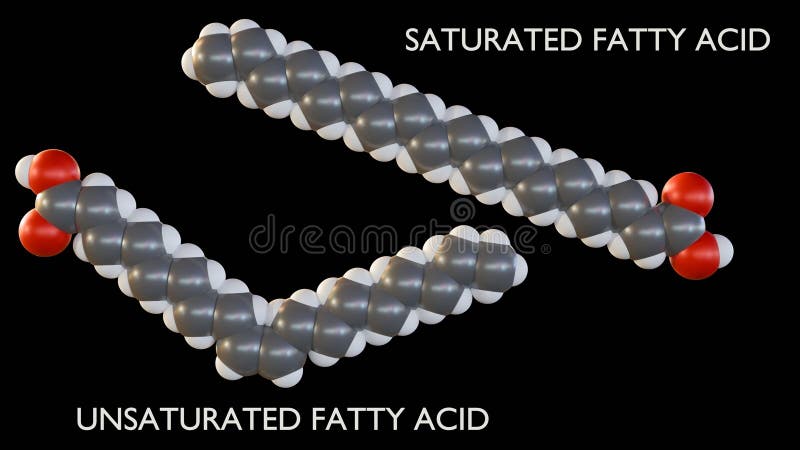 Saturated Fatty Acid