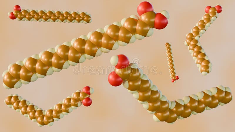 Chemical Structures of Saturated and Unsaturated Fatty Acids. Stock ...