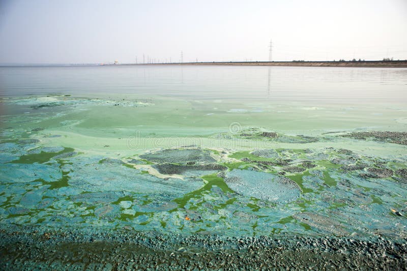 Chemical waste pollution stock photo. Image of texture - 46354116