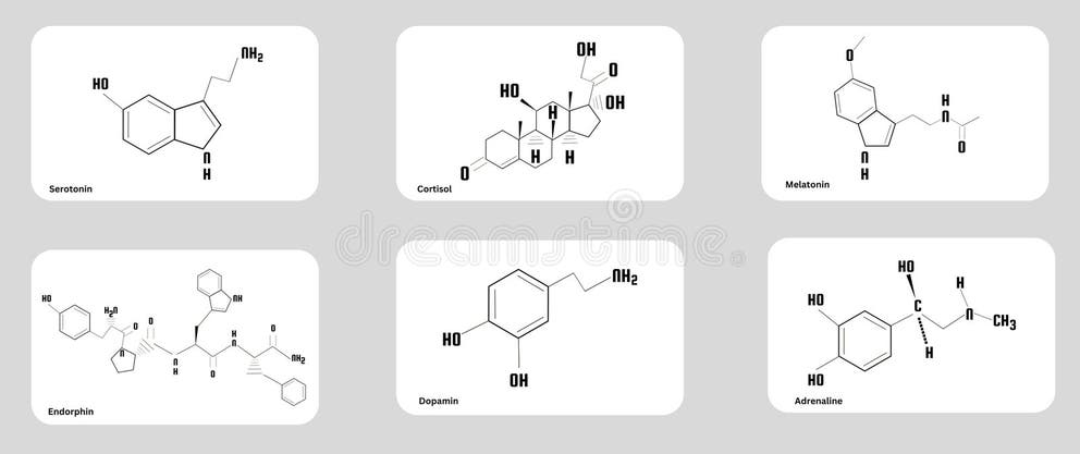 Essential Brain Chemicals Stock Illustrations – 5 Essential Brain ...