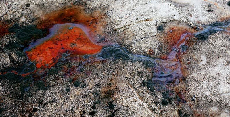 Chemicals stock photo. Image of dead, material, dangerous - 50882040