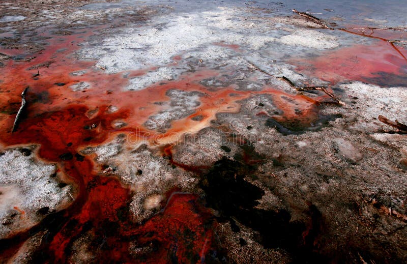 Chemicals stock photo. Image of ecosystem, dead, chemical - 50956684