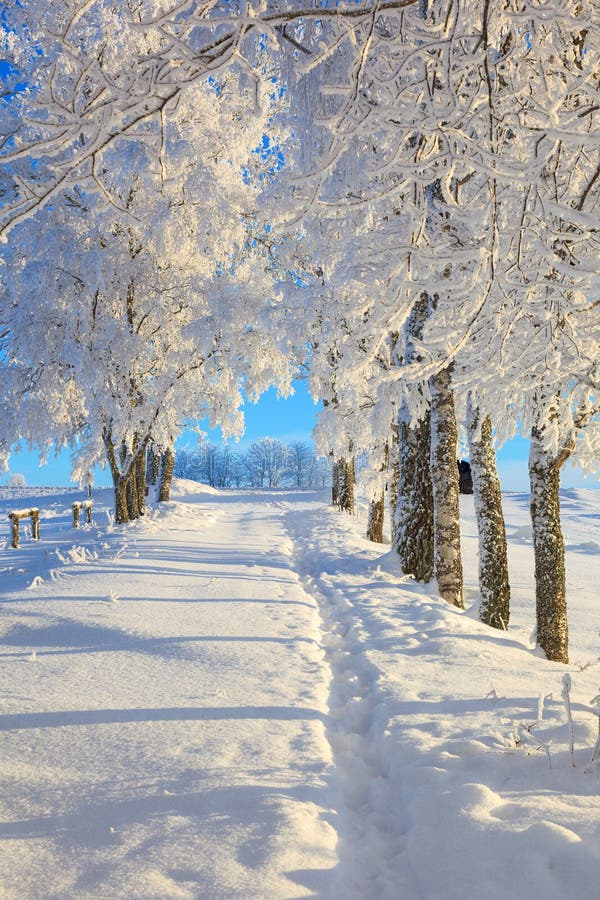 Chemin d'hiver image stock. Image du navigation, suède - 47919295