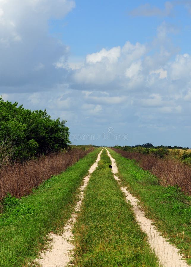 Chemin Dans La Campagne Avec Personne Photo stock - Image du ciel ...