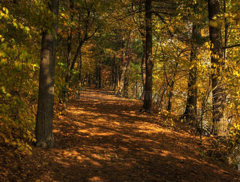 Chemin De Couleur D'automne - Verticale Photo stock - Image du normal ...