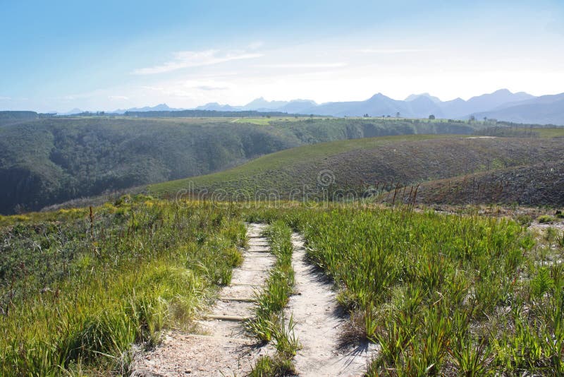 Chemin dans la montagne photo stock. Image du environnement - 2259626