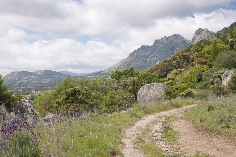 190 Chemin Rocailleux De Montagne Photos libres de droits et gratuites ...